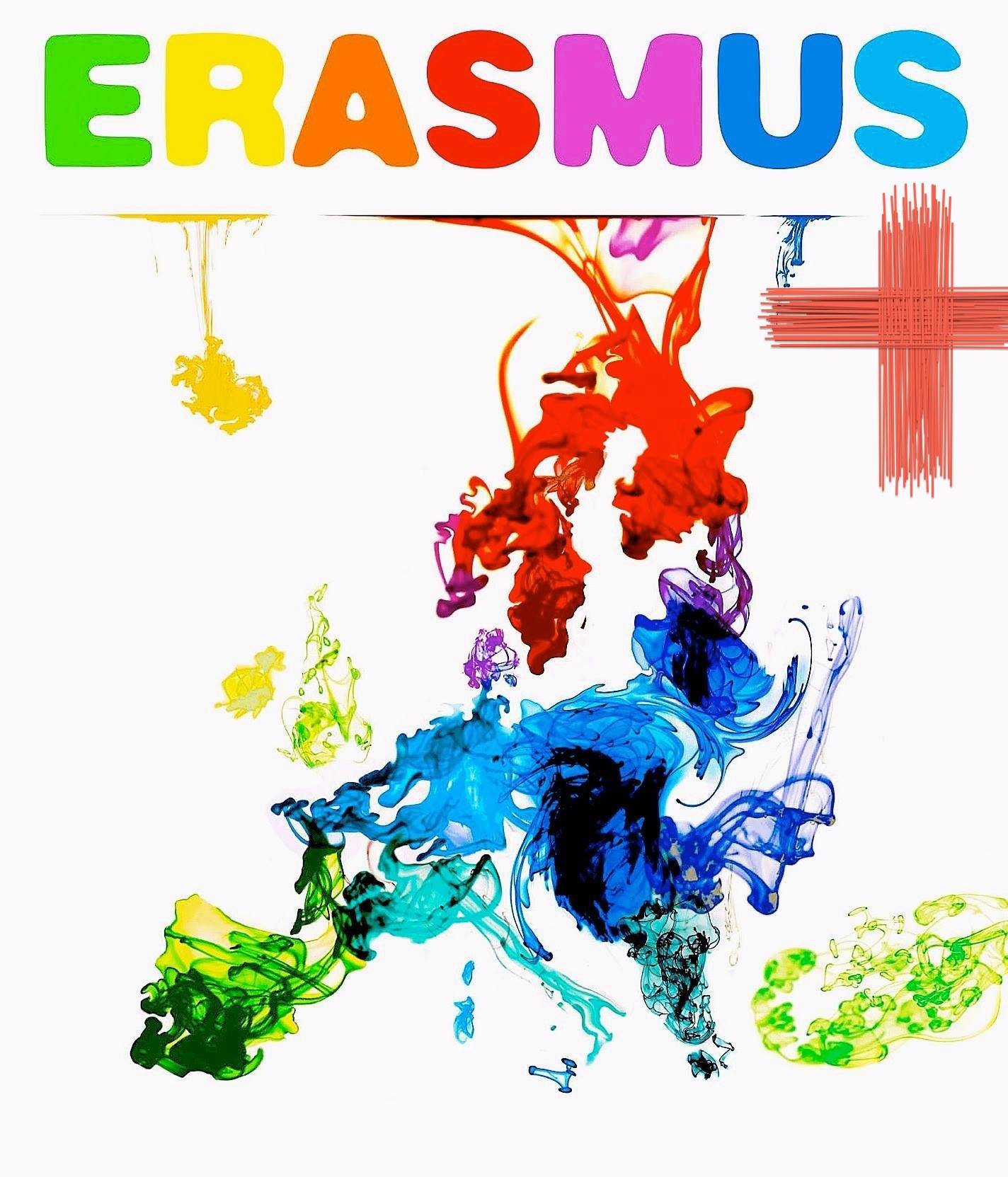 Erasmus+ - Erasmus Mobility Academy
